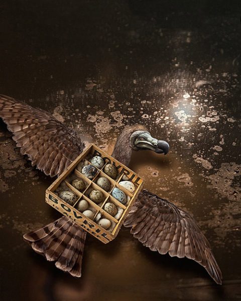 The Playful and Fabulous Surreal World of Paul Biddle [Interview ...