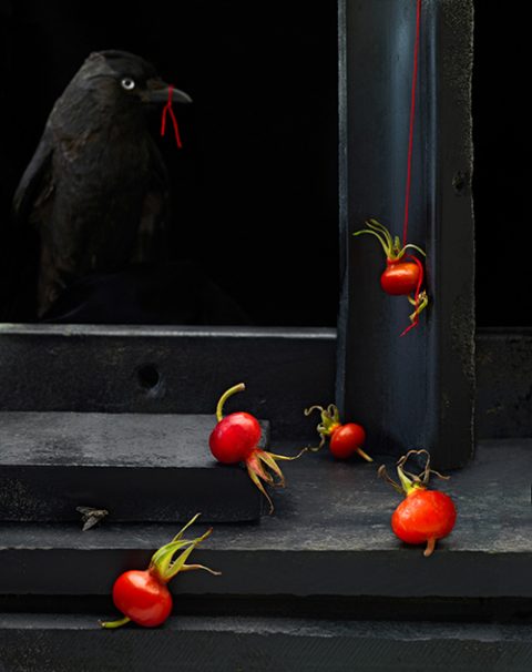 The Playful and Fabulous Surreal World of Paul Biddle [Interview ...