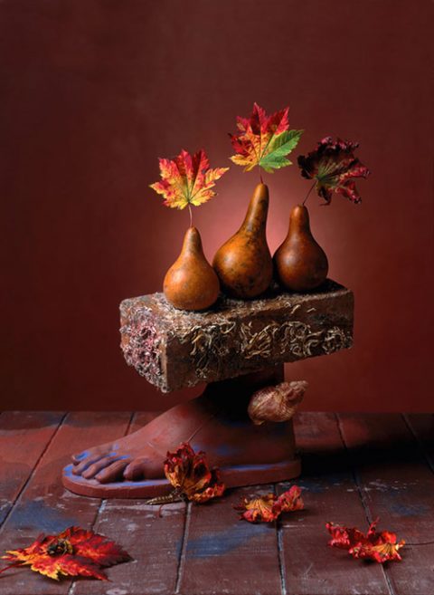 The Playful and Fabulous Surreal World of Paul Biddle [Interview ...